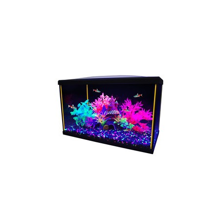 Tropicazoo | Aquarium équipé iGlo, 19 L (5 gal US) | Tropicazoo
